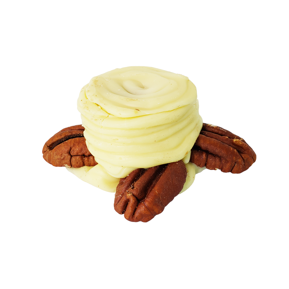 Tortuga de chocolate blanco - Xhocolata